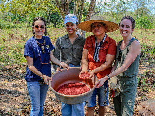 Curio Spice Co. | Sustainable, Ethical, Single-Origin Spices & Blends ...